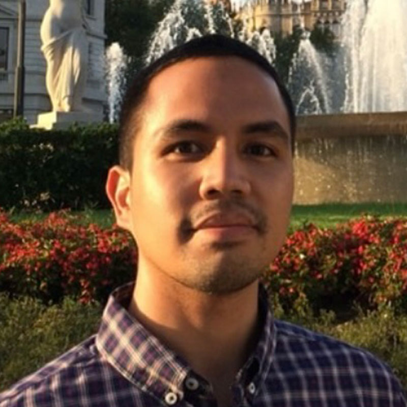 The Marsis Family Tree